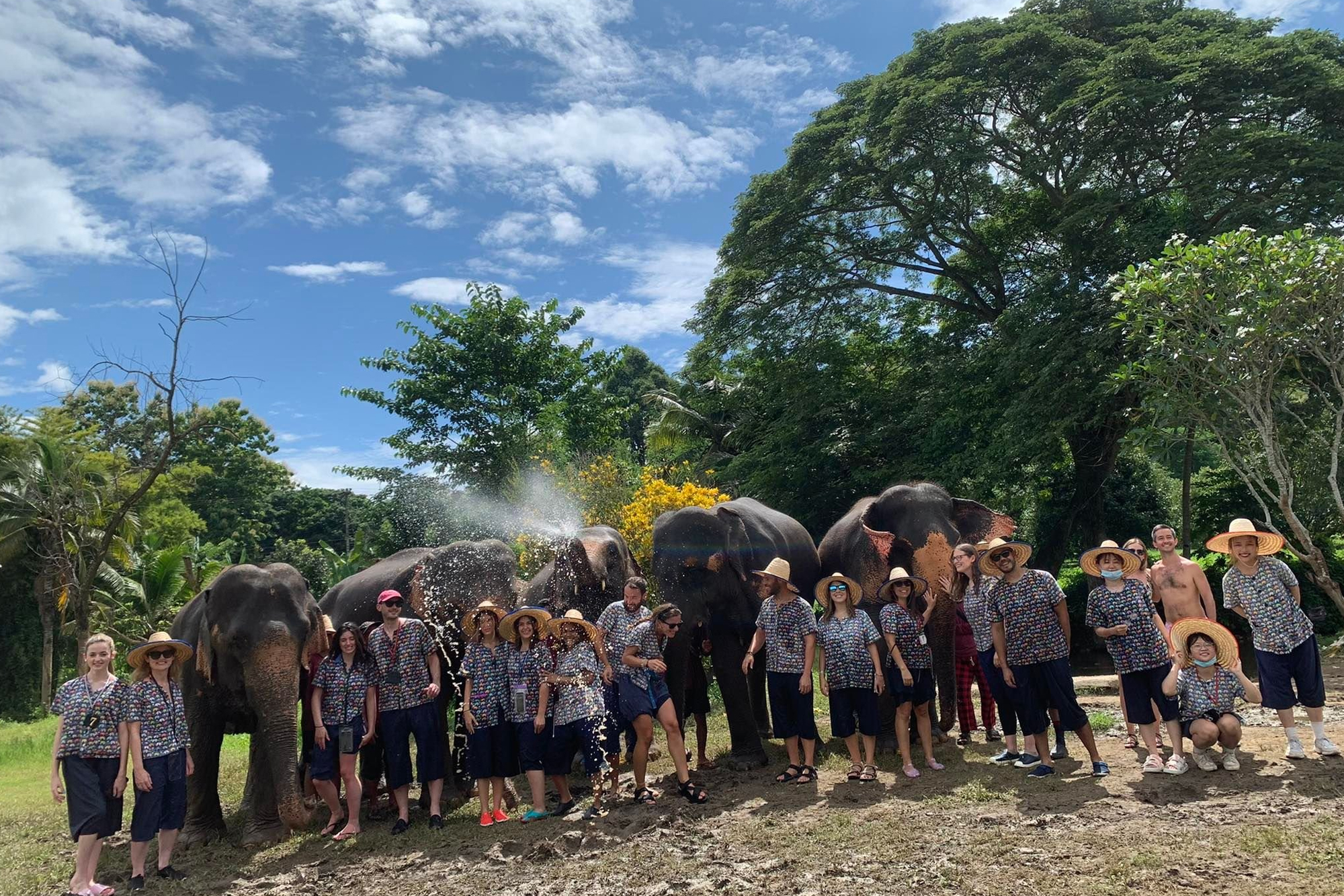 Chiang Mai Elephant Sanctuary - Elephant Sanctuary Chiang Mai