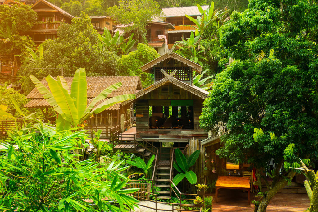 Mae Kampong - Jungle Trekking in Mae Kampong - Eco Tour