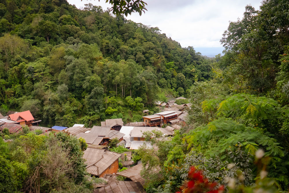 Mae Kampong - Jungle Trekking in Mae Kampong - Eco Tour